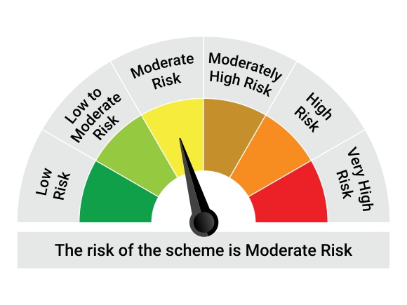 Understanding Mutual Fund Riskometer