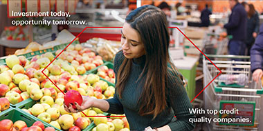 Mutual Fund - HSBC Asset Management in India