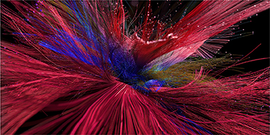 Mutual Fund - HSBC Asset Management in India